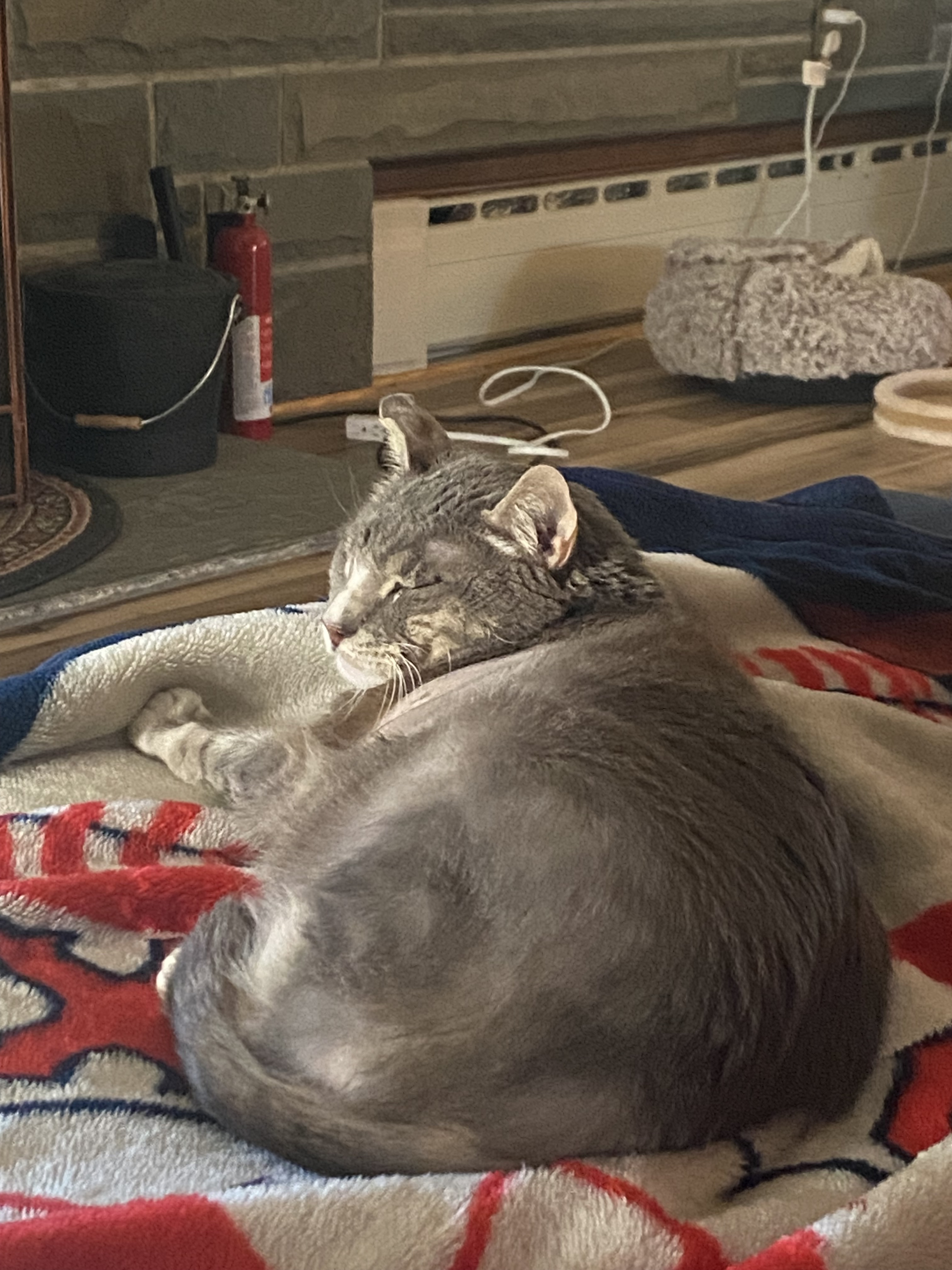 80s Baby – Nostalgia is a drug