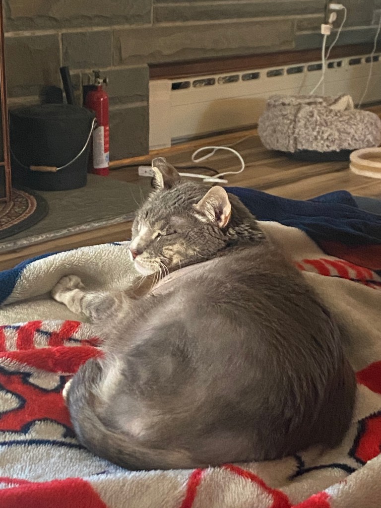 Bill Haverchuck, The Toughest Cat to Ever Live – 80s Baby